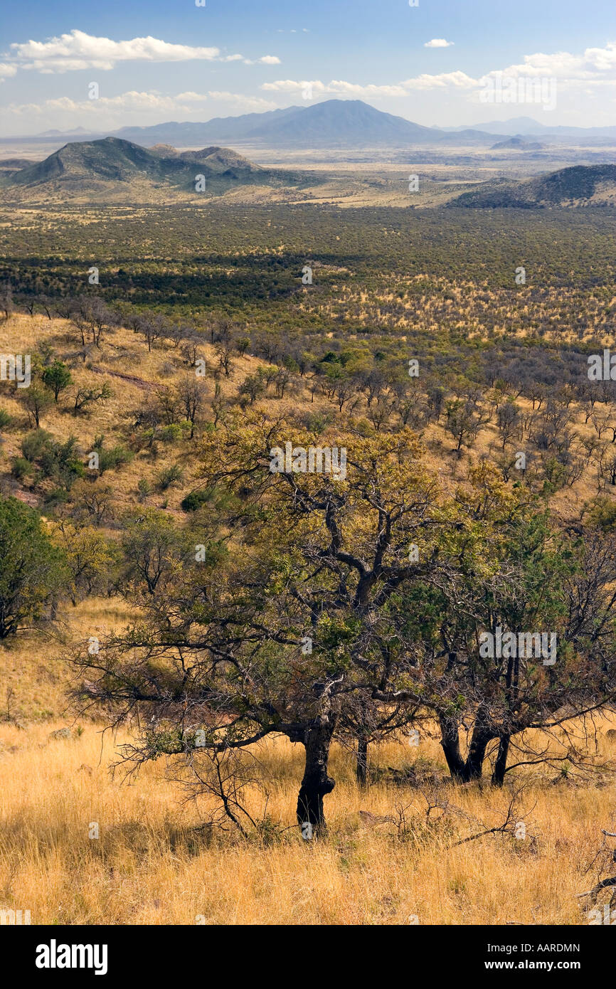 High Chaparral Coronado National Memorial Arizona Stock Photo - Alamy