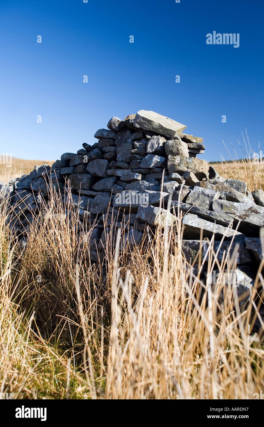 Yorkshire stone wall repair hi-res stock photography and images - Alamy