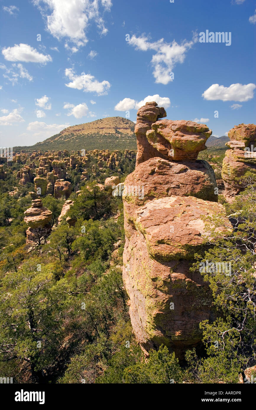 Land of the Standing Up Rocks Chiricahua National Monument Arizona ...