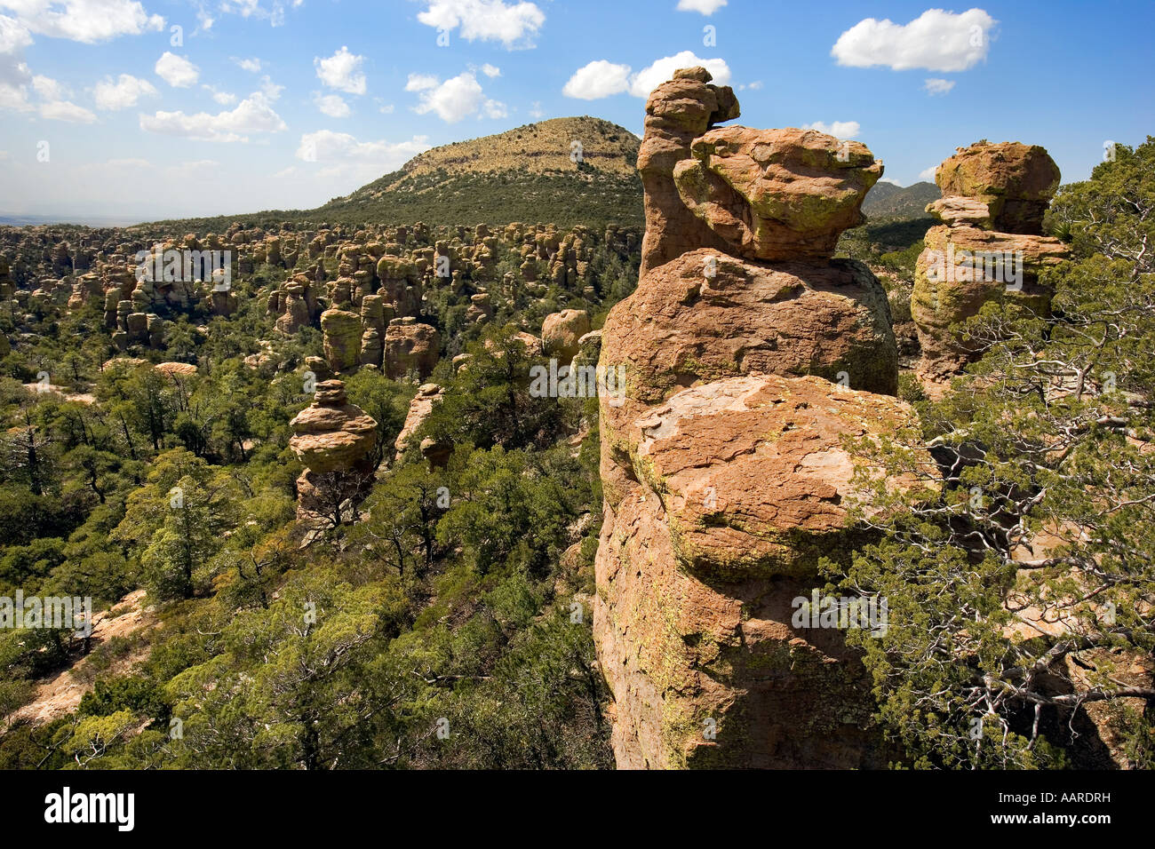 Land of the Standing Up Rocks Chiricahua National Monument Arizona ...