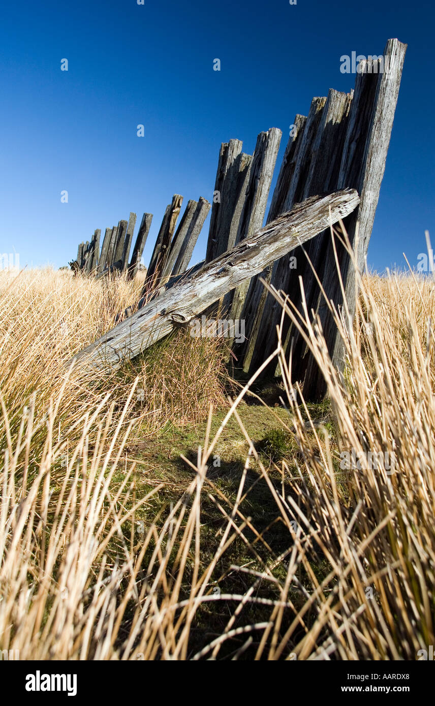 Balancing act. Remnants of old timber boundary line. Yorkshire Stock ...