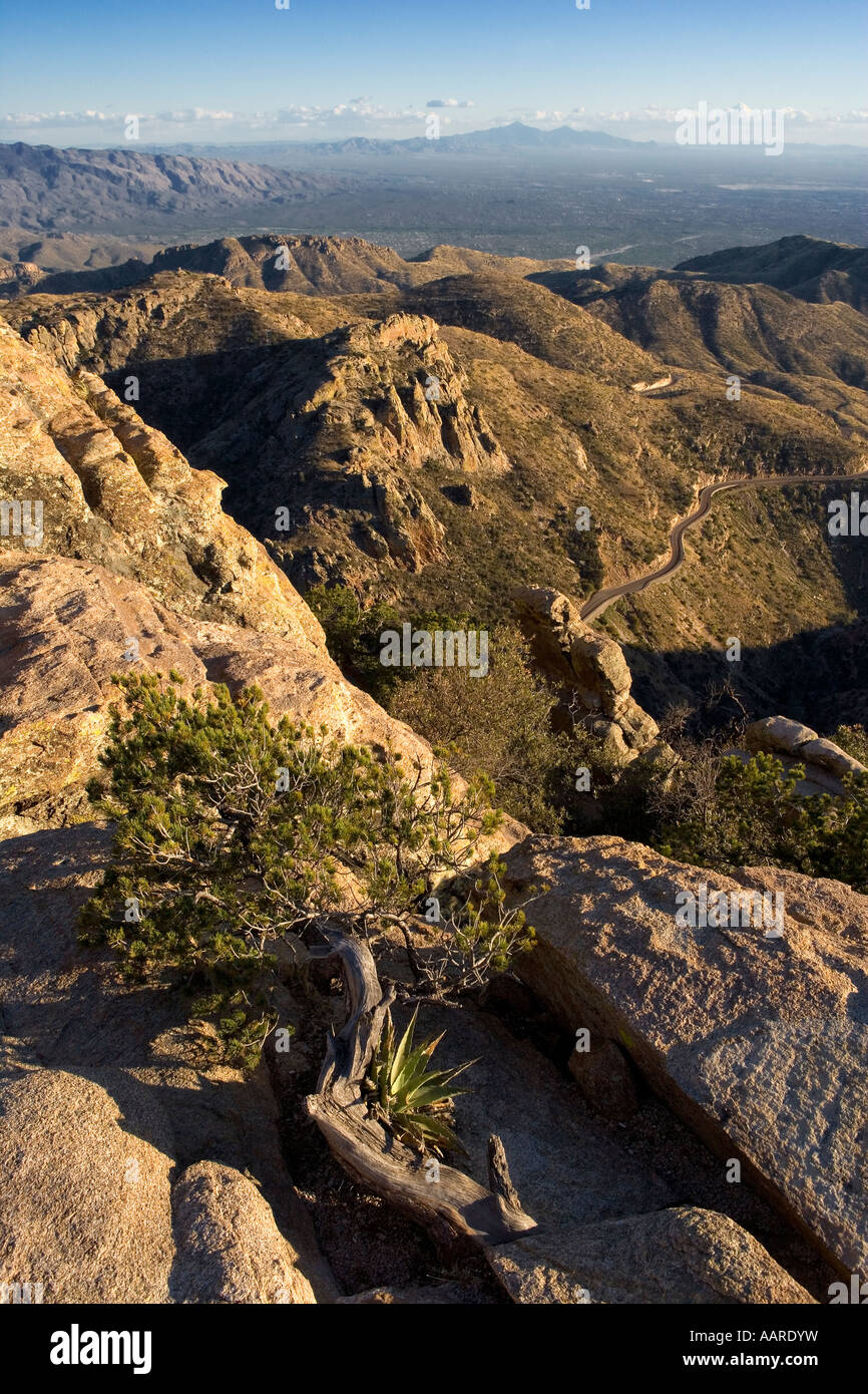 View from Mt Lemmon Arizona Stock Photo - Alamy