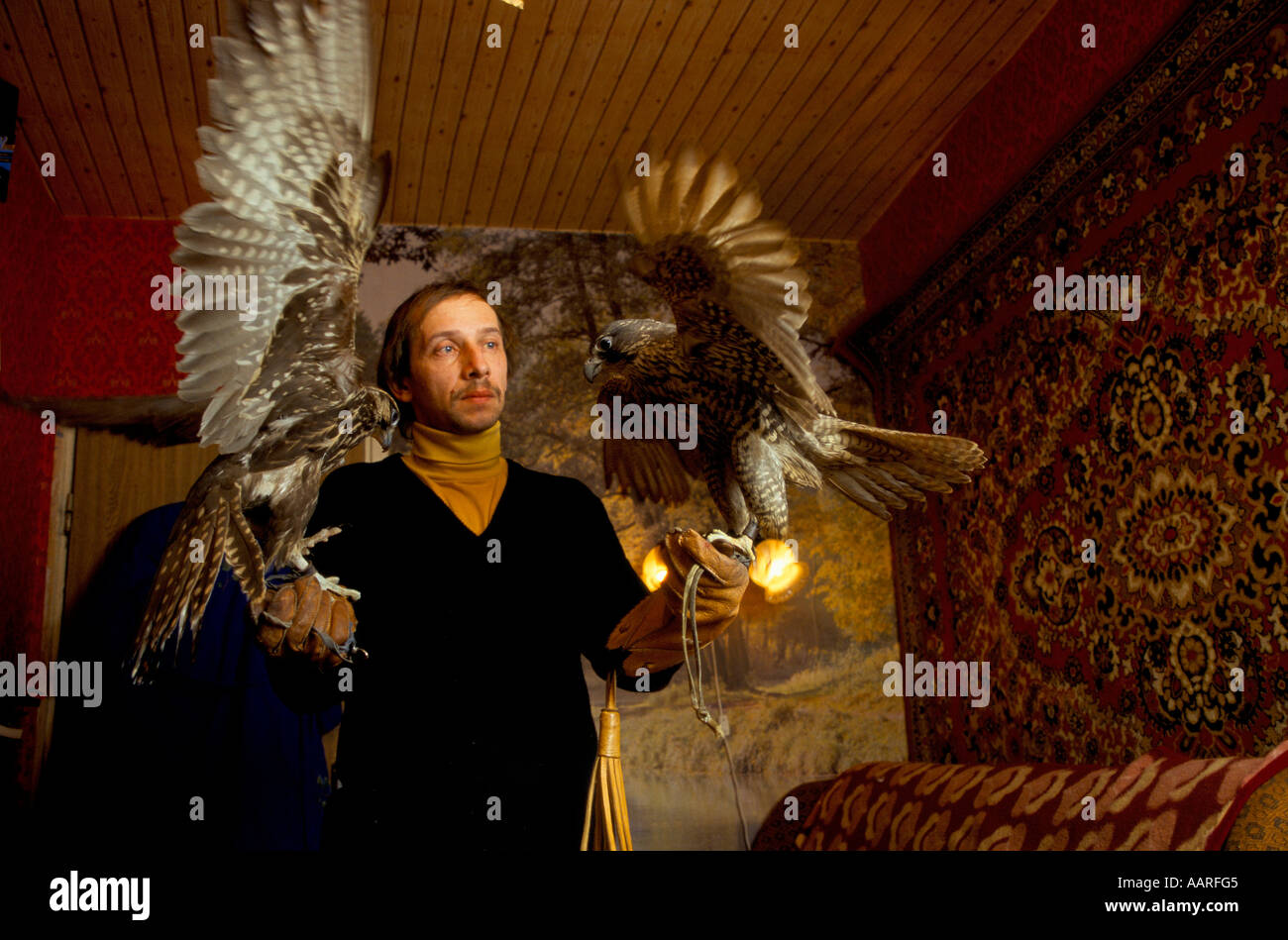EXOTIC ANIMALS MOSCOW 1995 YURI YEREMIN FALCON BREEDER IN HIS FLAT ...