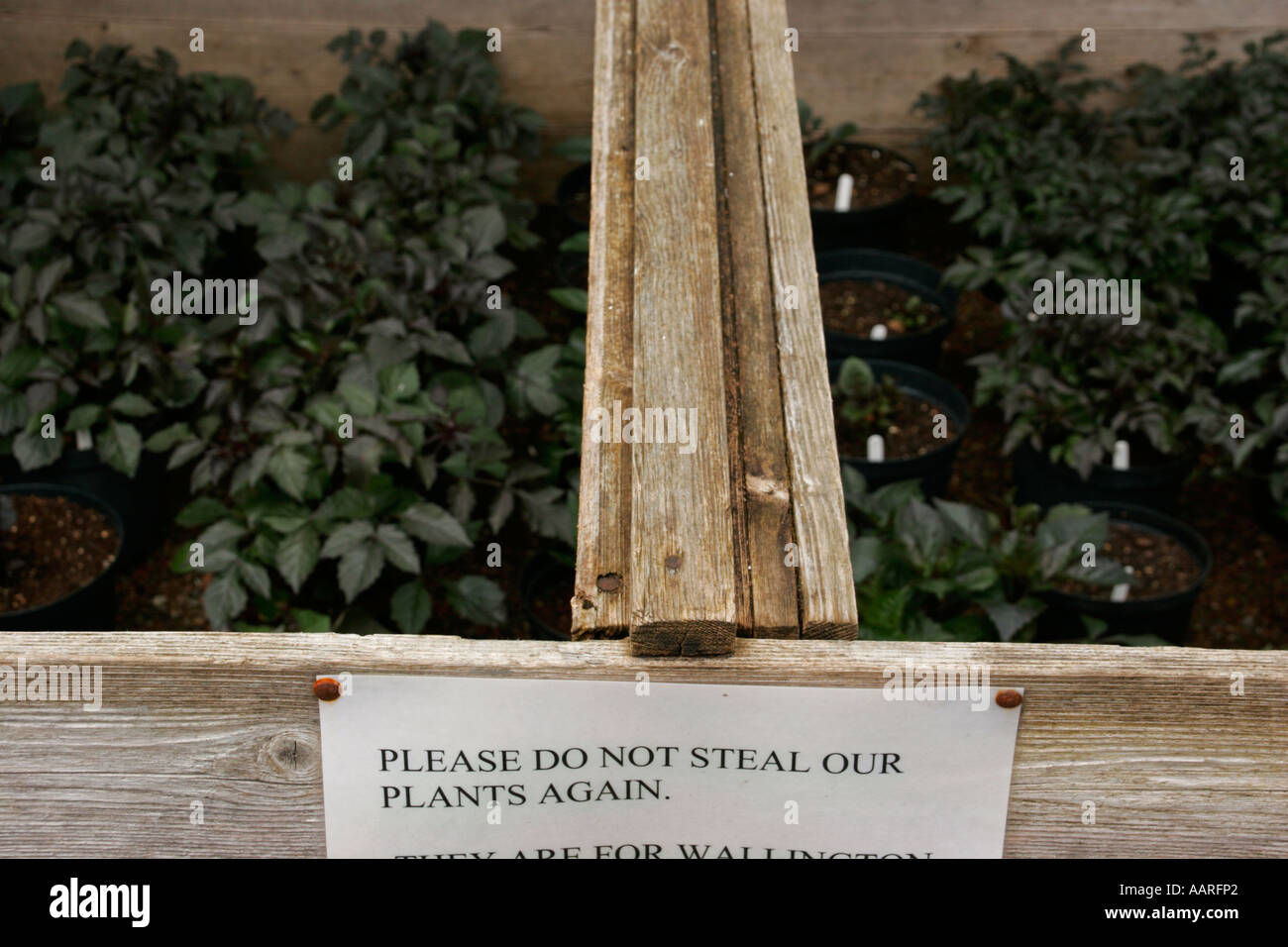 Notice requesting people to refrain from stealing plants Stock Photo ...
