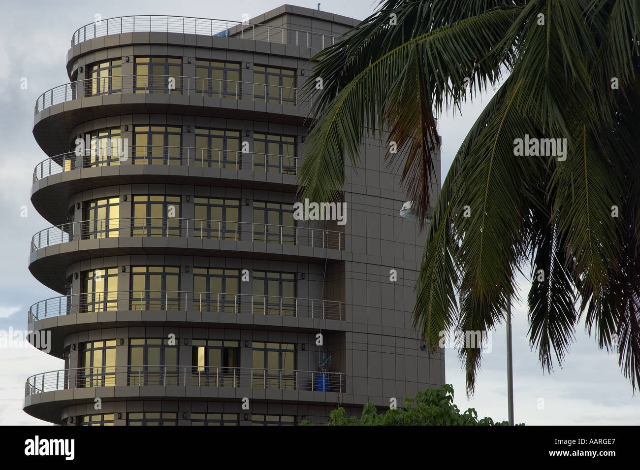 Maldives Male City Brand New Building And Palm Tree In The Residential ...