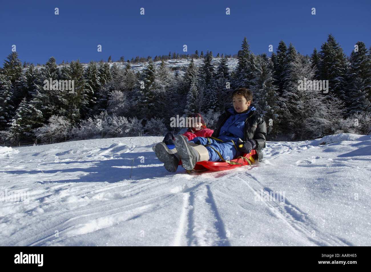 Three Children Sledding Stock Photo - Alamy