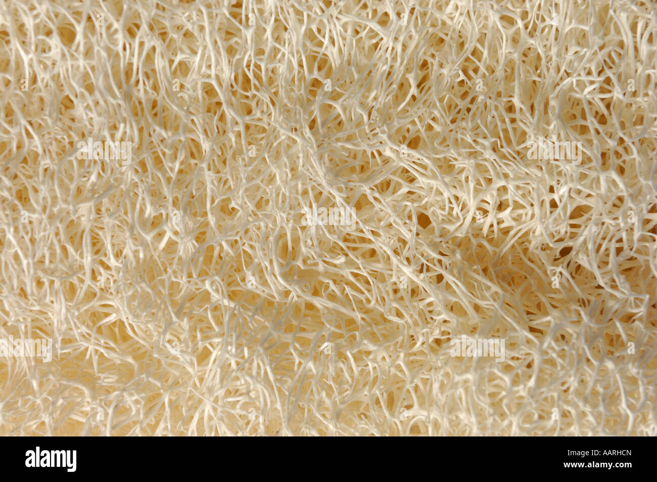 Loofah texture background Stock Photo - Alamy
