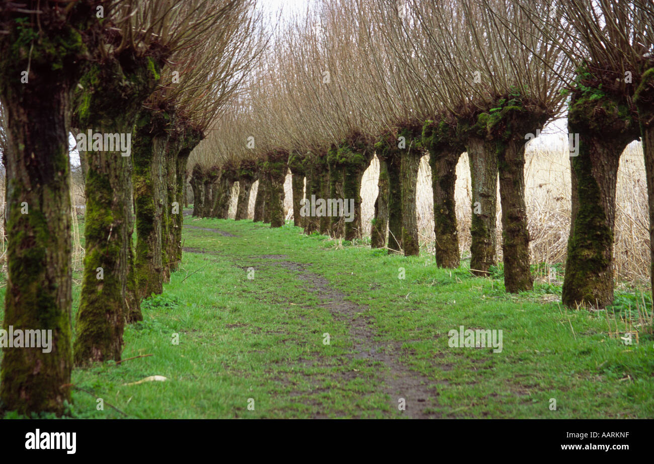 Double row hi-res stock photography and images - Alamy