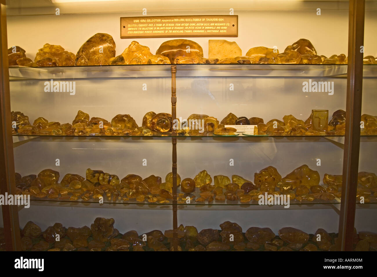 MATAKOHE NORTH ISLAND NEW ZEALAND May A donated collection of Kauri gum ...