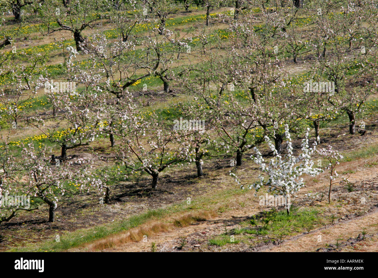 Northern djursland hi-res stock photography and images - Alamy
