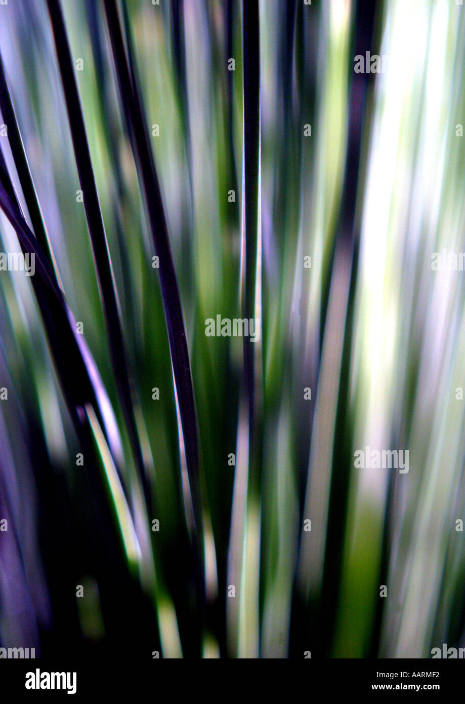 Grass designs hi-res stock photography and images - Alamy