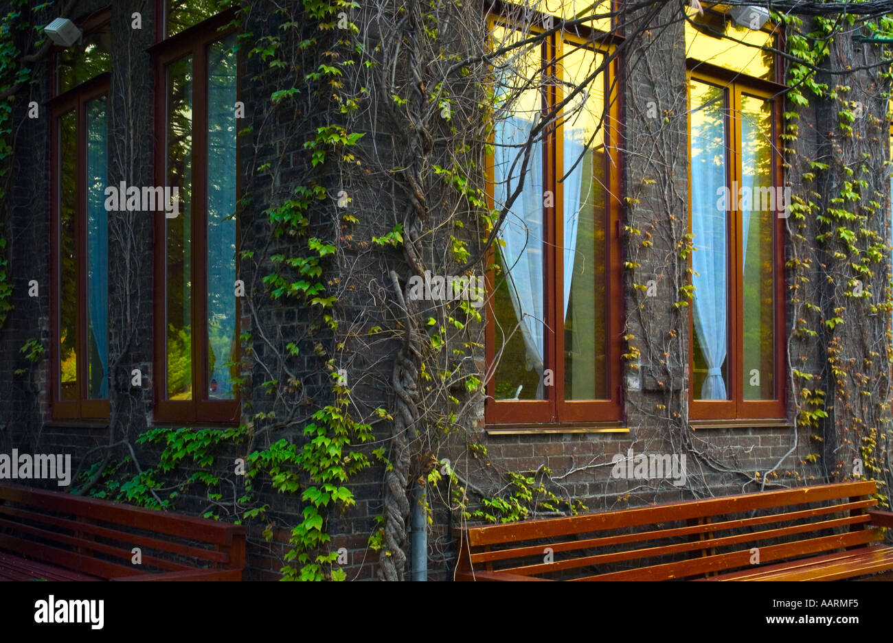 Corner with windows and vines Stock Photo - Alamy