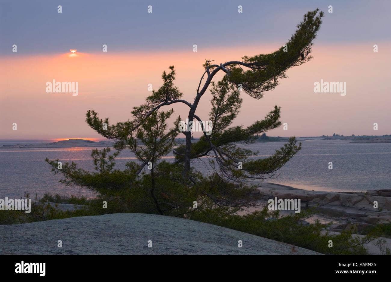 Georgian bay landscape rugged rocky hi-res stock photography and images ...