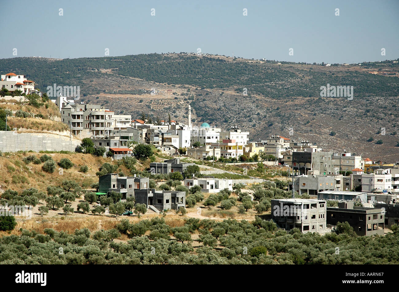Nahef, an Arab village among olive trees east of Akko or Acre in ...