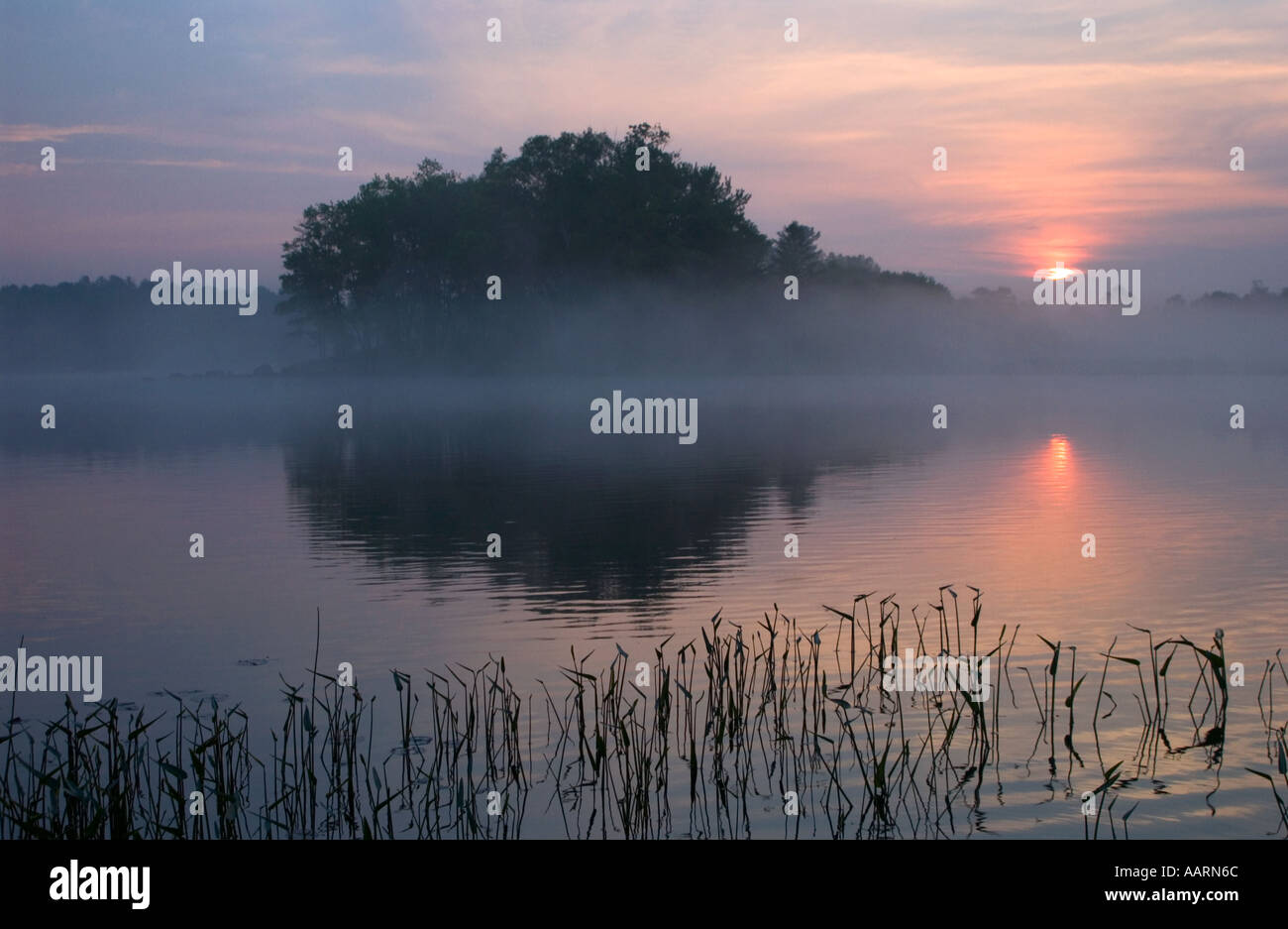 Ontario nature and scenery, Muskoka Stock Photo - Alamy