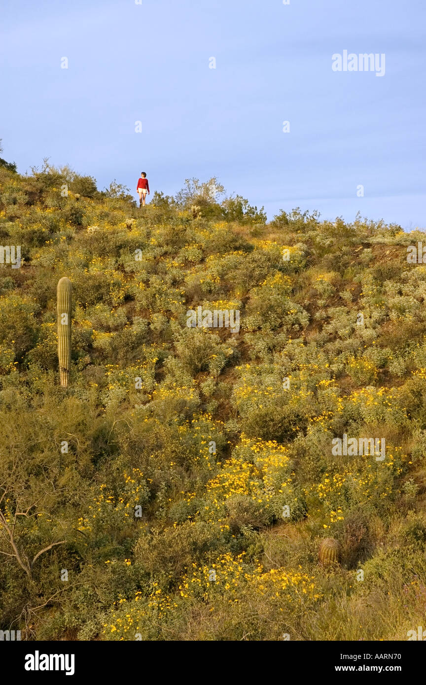 Woman hiking at Cave Creek Regional Park Phoenix Metropolitan Area ...