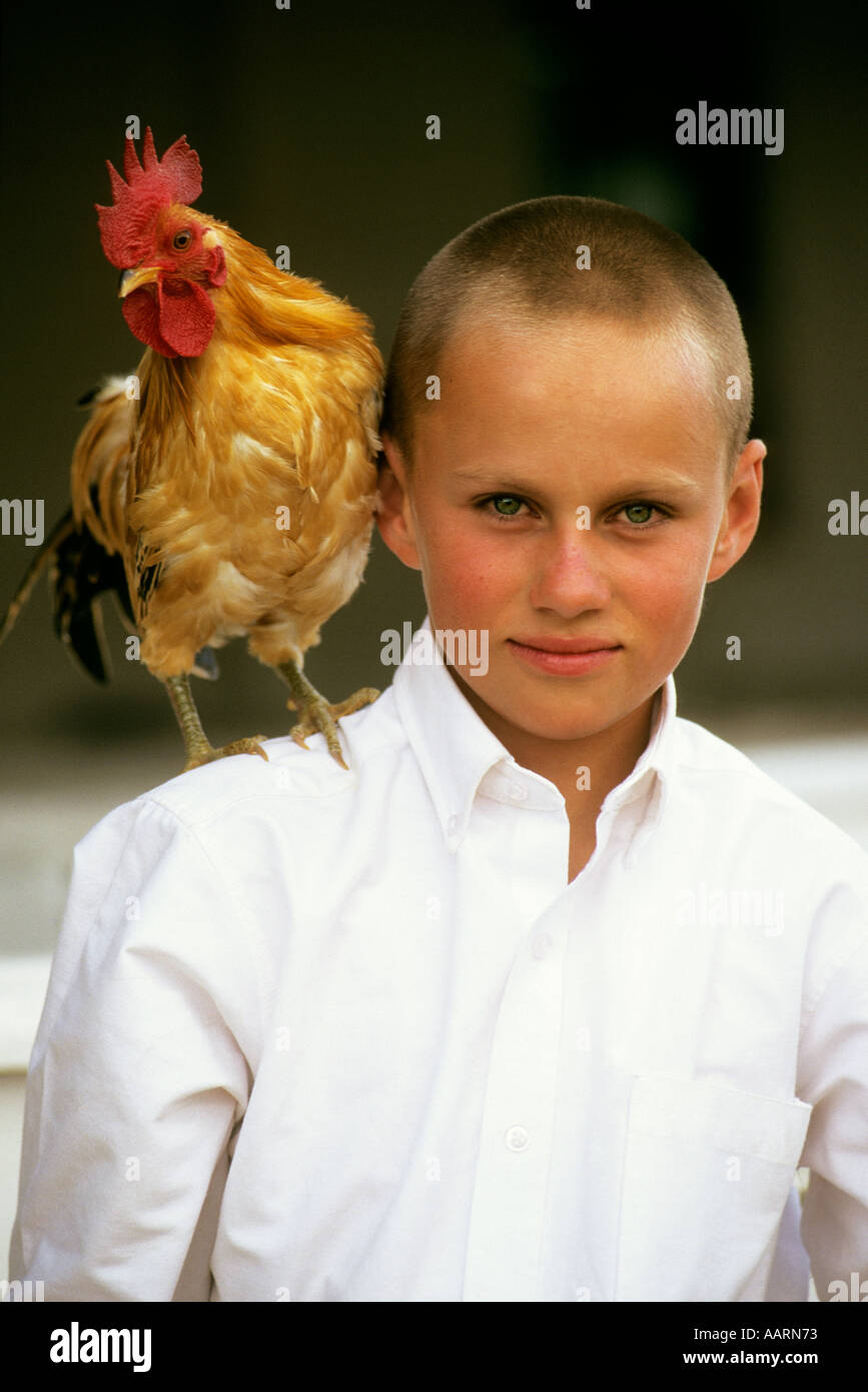 4h boy chicken hi-res stock photography and images - Alamy