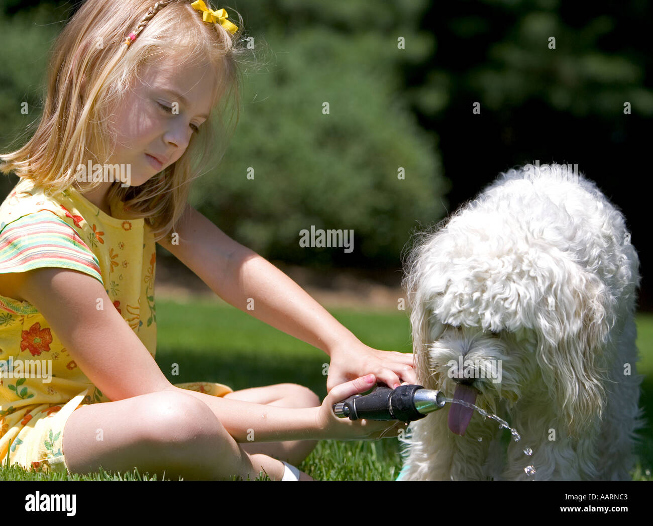 Dog helper child hi-res stock photography and images - Alamy