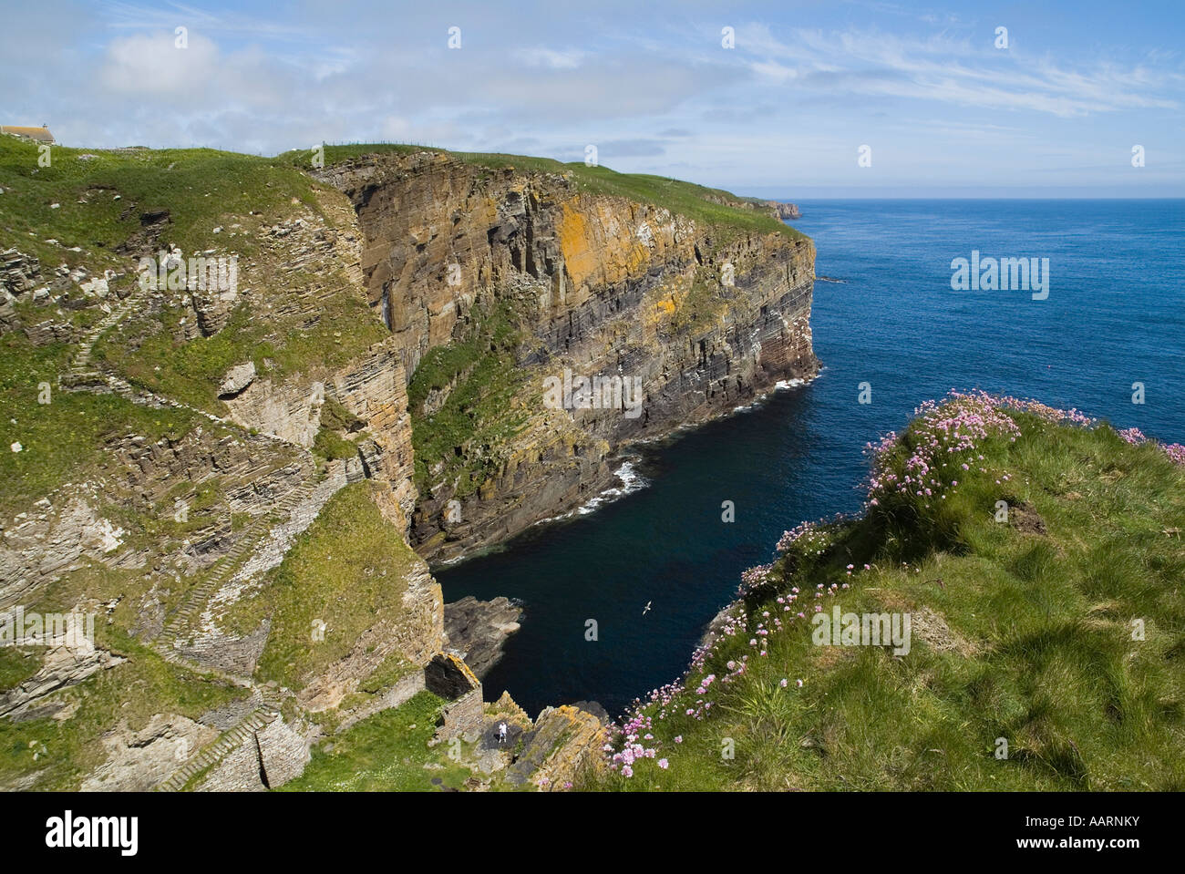 dh WHALIGOE CAITHNESS Steep stone steps to cove harbour carved out of ...