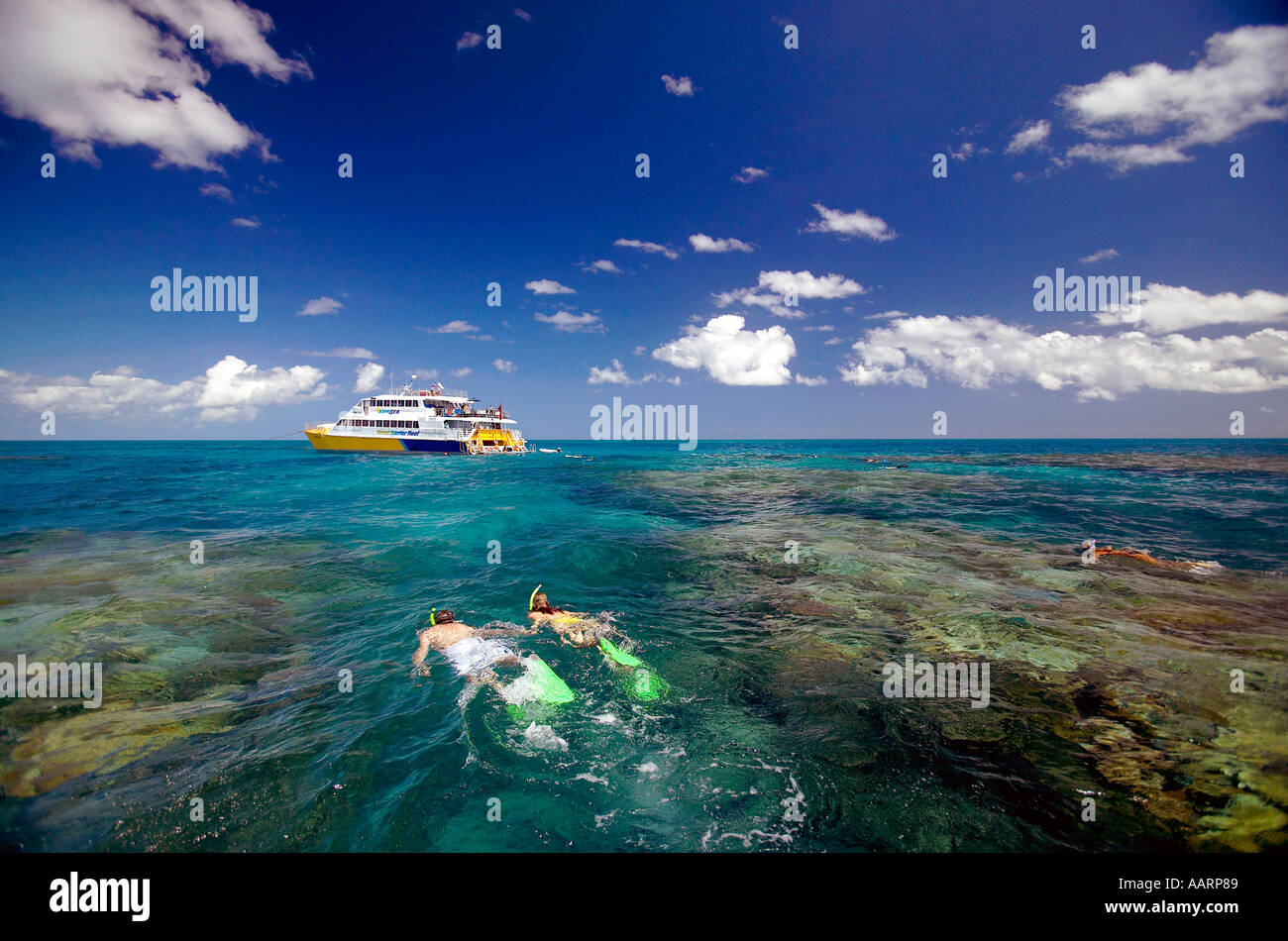 Great Barrier Reef Tropical North Queensland Australia Stock Photo - Alamy