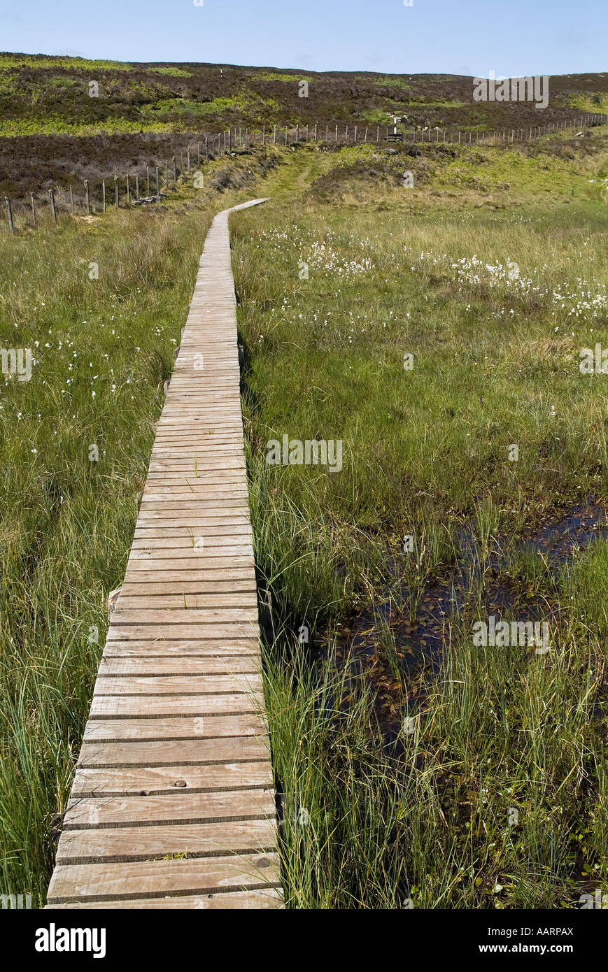 Planks over wet footpath hi-res stock photography and images - Alamy