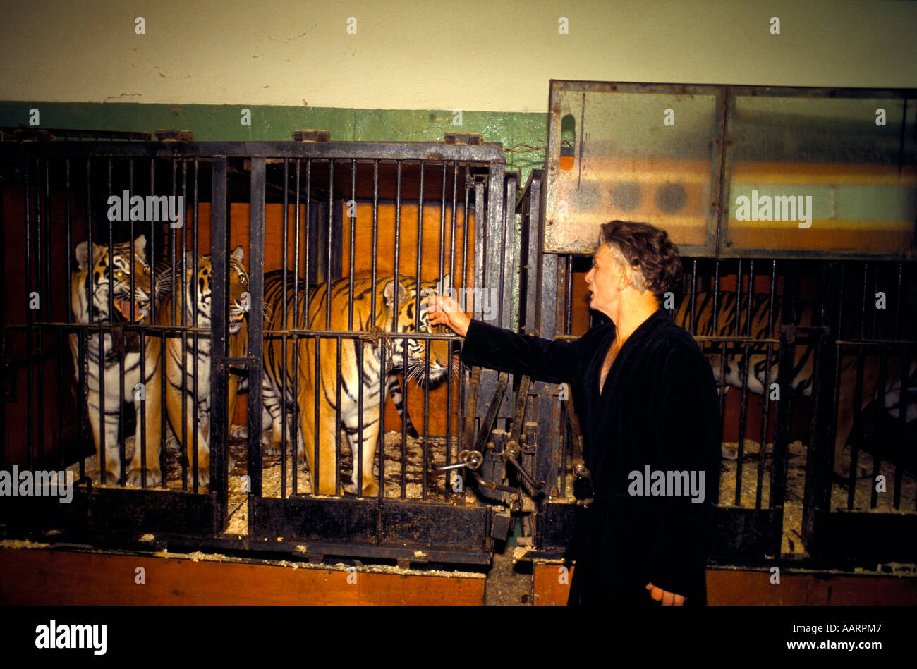 MOSCOW STATE CIRCUS OCT 1990 Stock Photo - Alamy