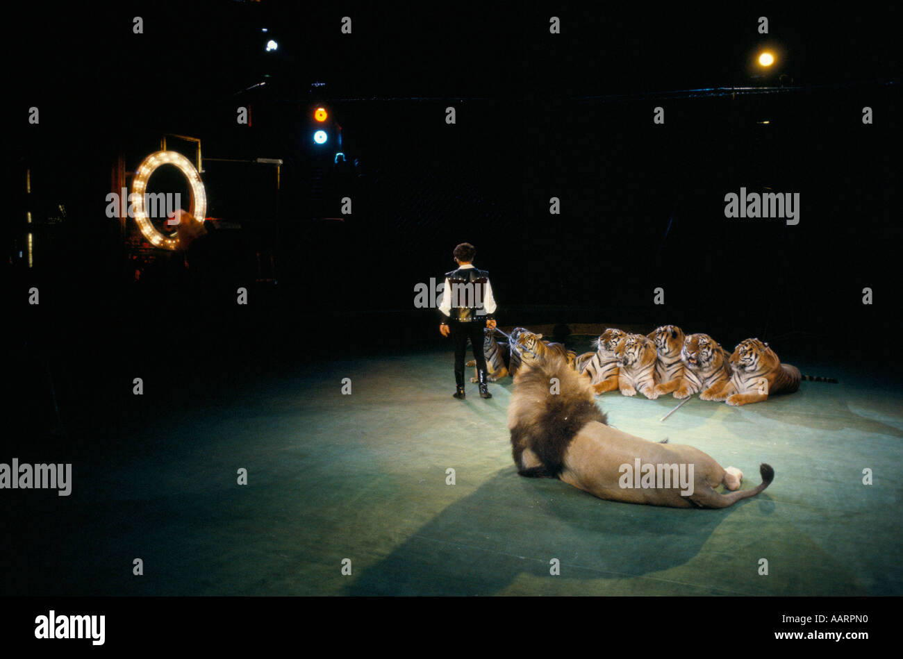 MOSCOW STATE CIRCUS OCT 1990 Stock Photo - Alamy