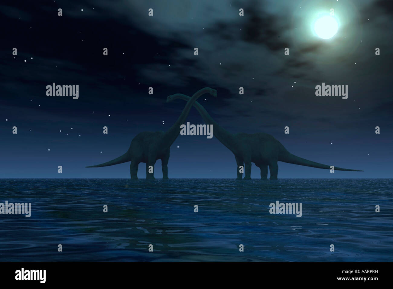 A Pair Of Silhouetted Diplodocus Standing Together At The End Of A ...