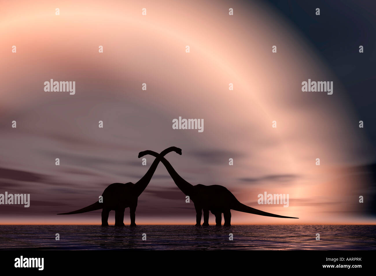 A Pair Of Silhouetted Diplodocus Standing Together At The End Of A ...