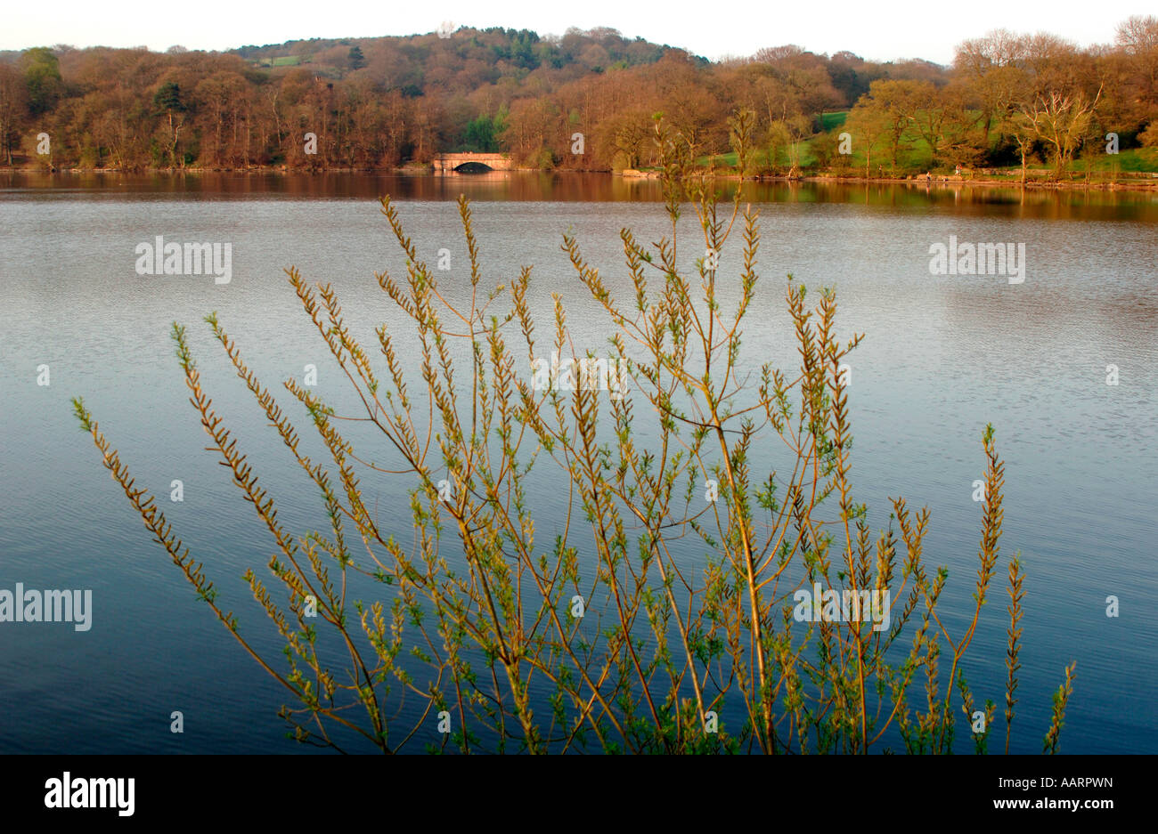 Knypersley Reservoir,A Freshwater Lake In Staffordshire England Stock ...