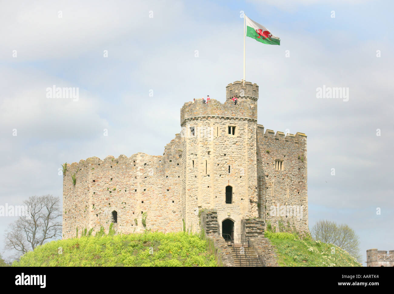 Cardiff castle and castle mound with welsh flag flying Stock Photo - Alamy