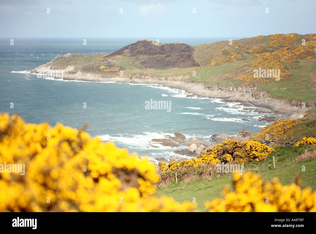 Morte point north Devon coast. A national trust property. An exposed ...