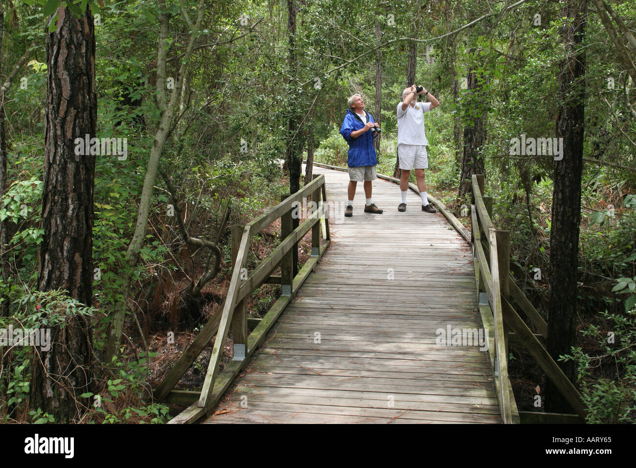 Alabama Dauphin Island,Audubon Bird Sanctuary,birder,nature boardwalk ...