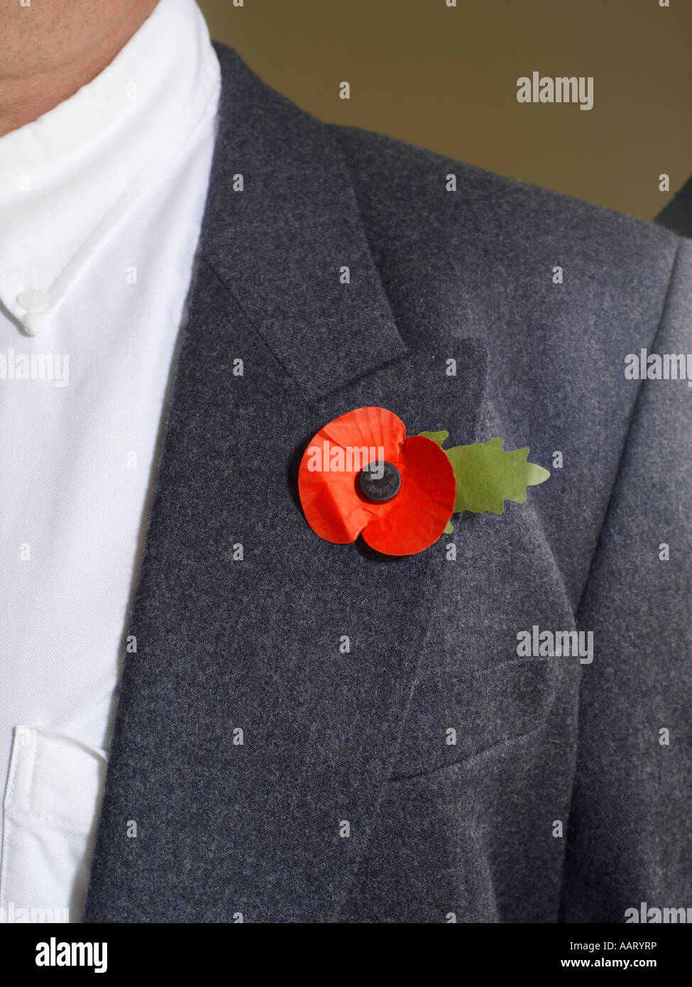 Poppy in a Lapel Stock Photo - Alamy