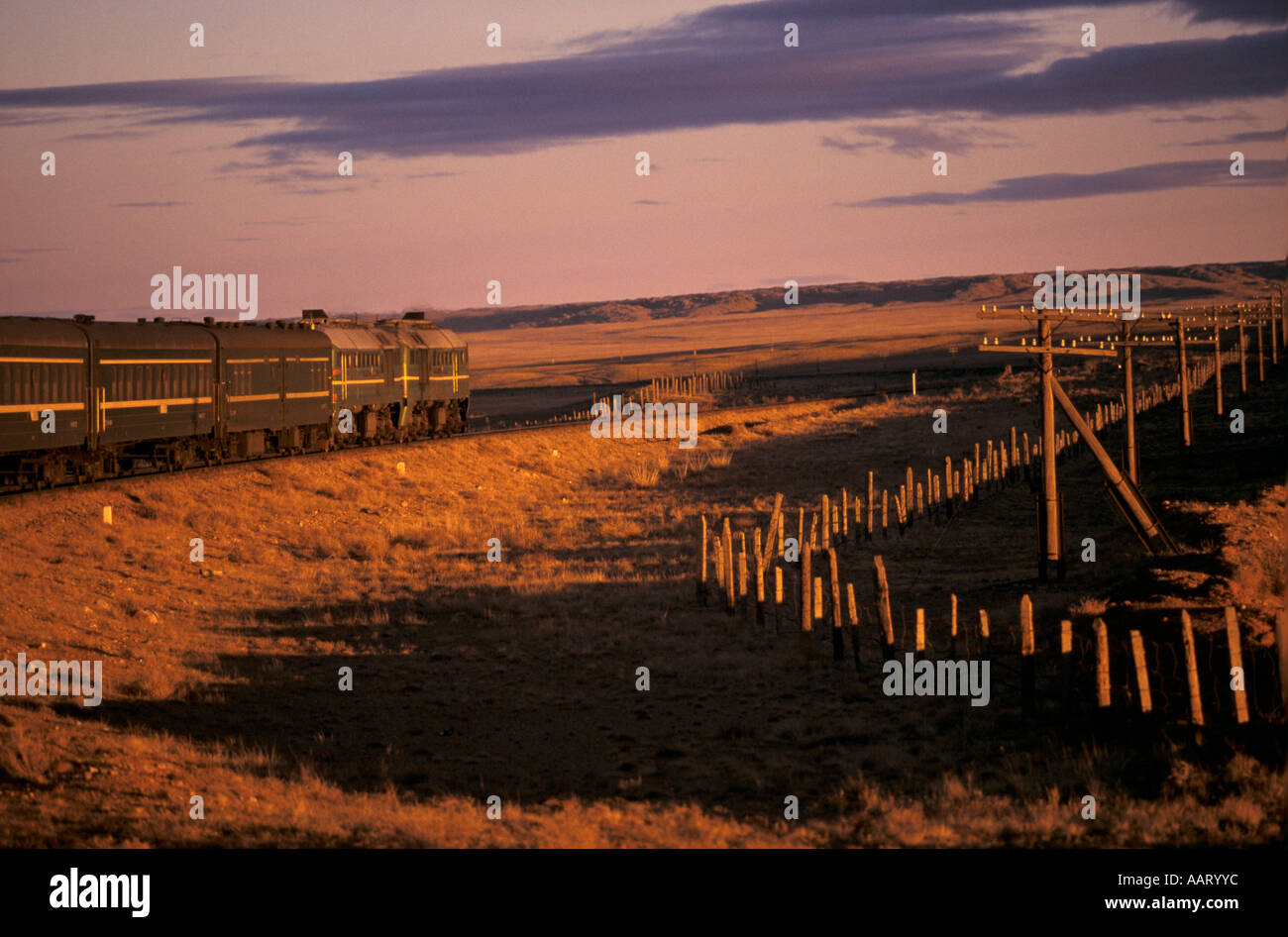 TRANS SIBERIAN RAIL JOURNEY TRAIN MOVES THROUGH BARON LANDSCAPE OF THE ...