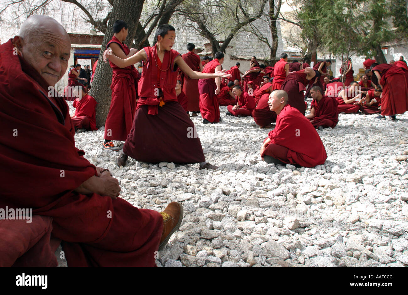 Buddhist monks debating Sera Monastery Lhasa Tibet Stock Photo - Alamy
