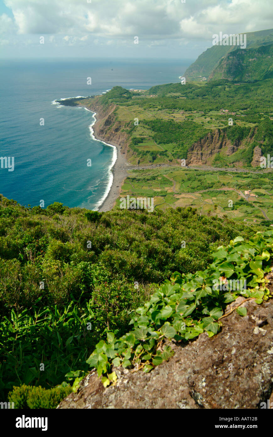 A view of the western coastline on the Portuguese island of Flores in ...