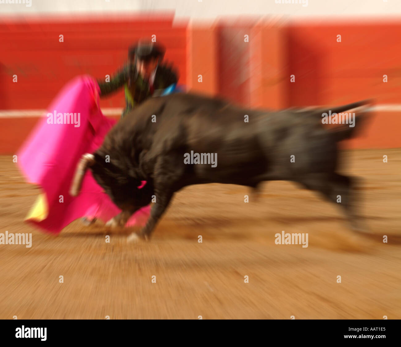 Portuguese style bullfighting hi-res stock photography and images - Alamy