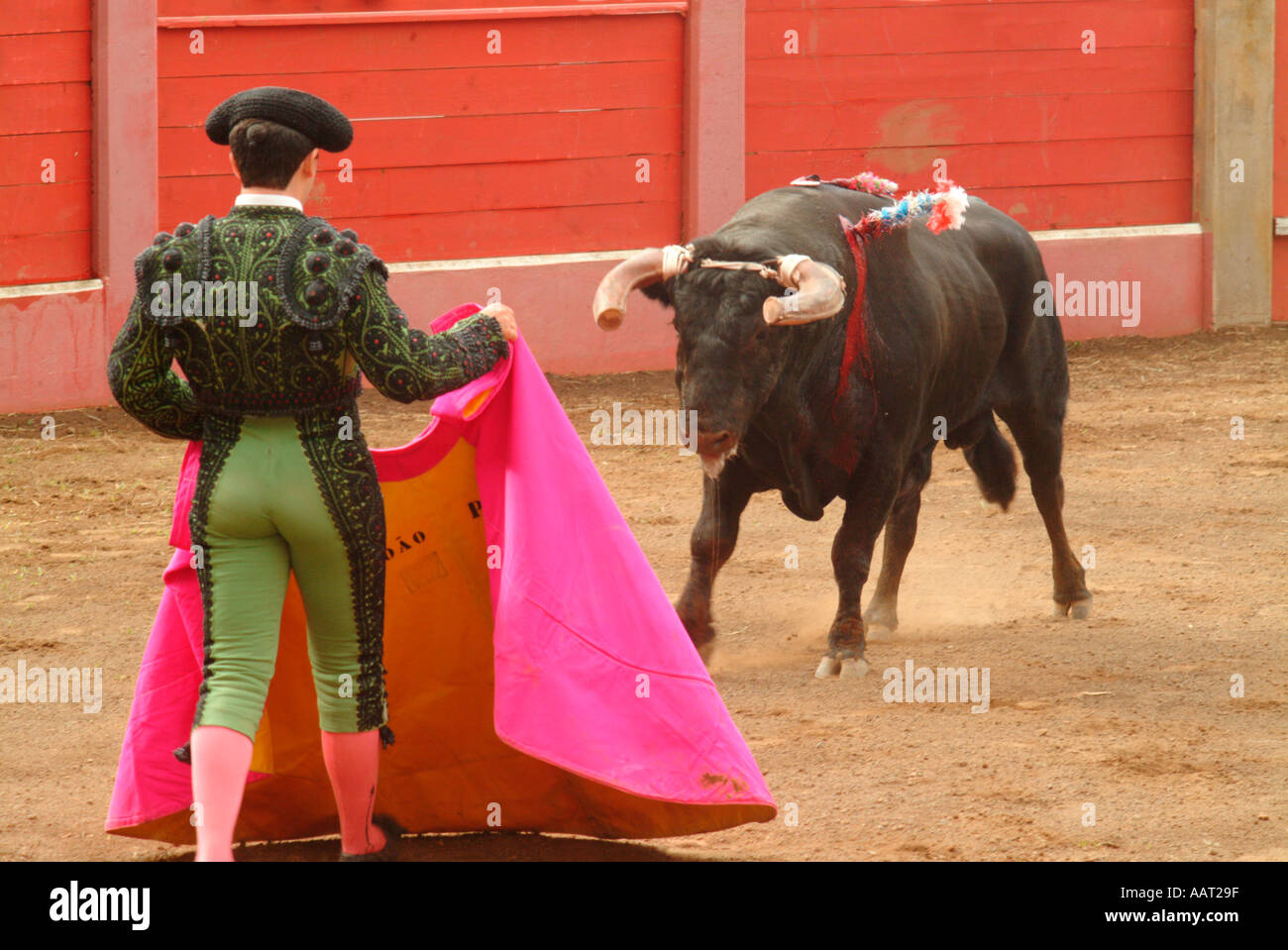 Portuguese style bullfighting hi-res stock photography and images - Alamy