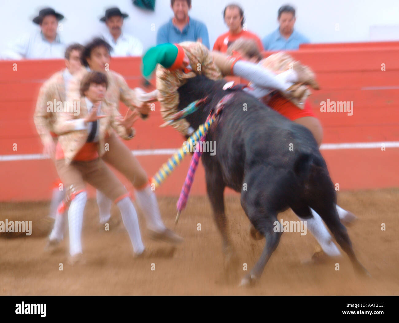 Forcados hi-res stock photography and images - Alamy