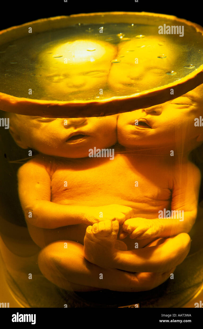 Deformed mutant hi-res stock photography and images - Alamy