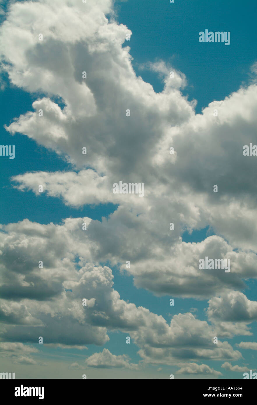 Puffy cumulus Clouds an a very clear and sunny day Stock Photo - Alamy