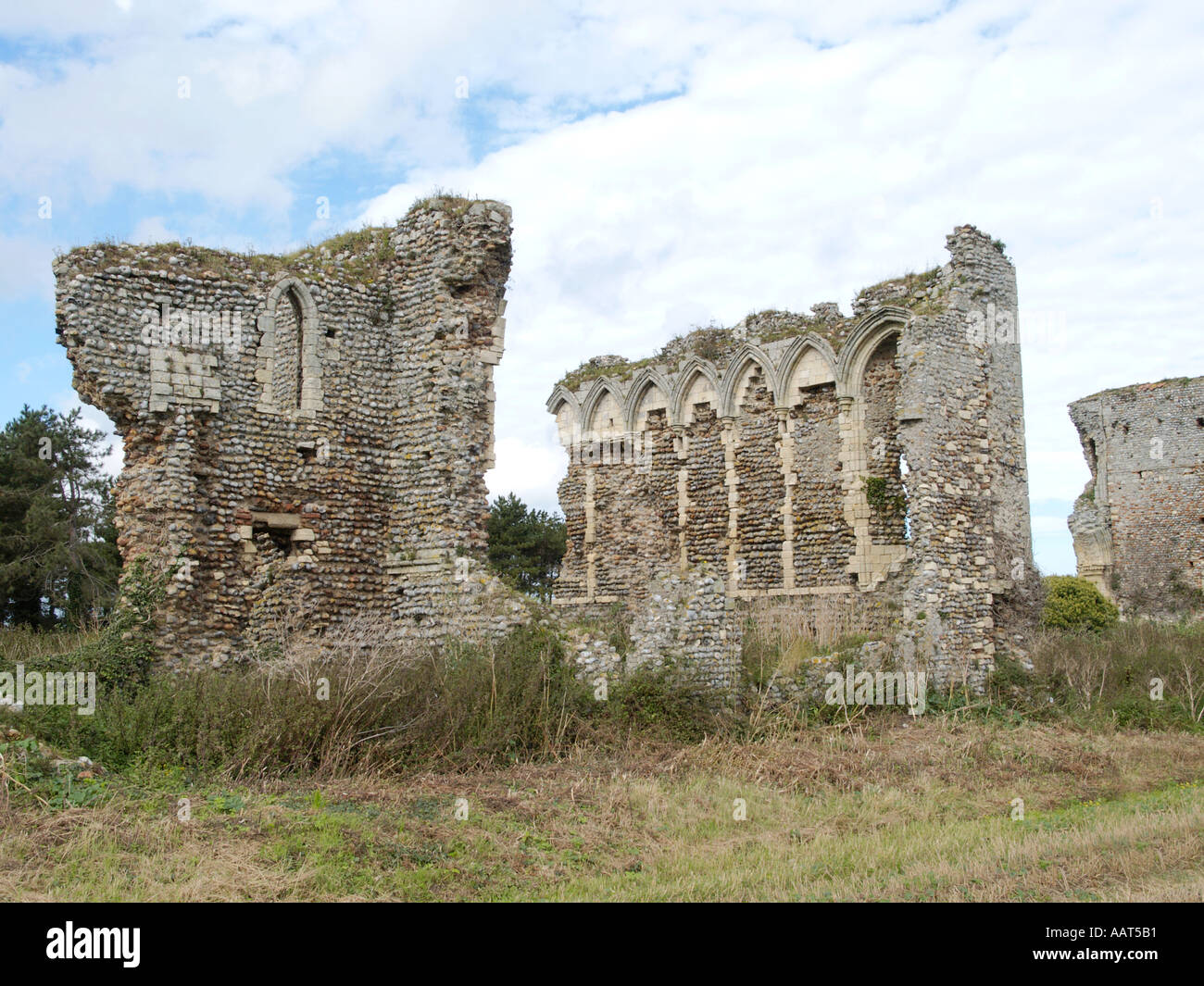 REMAINS OF BROMHOLM PRIORY BACTON NORFOLK EAST ANGLIA ENGLAND UK Stock ...