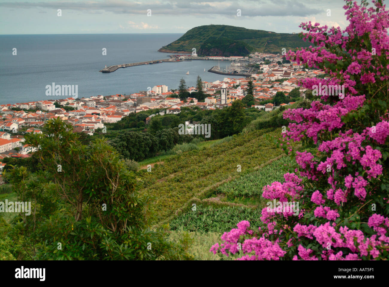 Street view horta in azores hi-res stock photography and images - Alamy