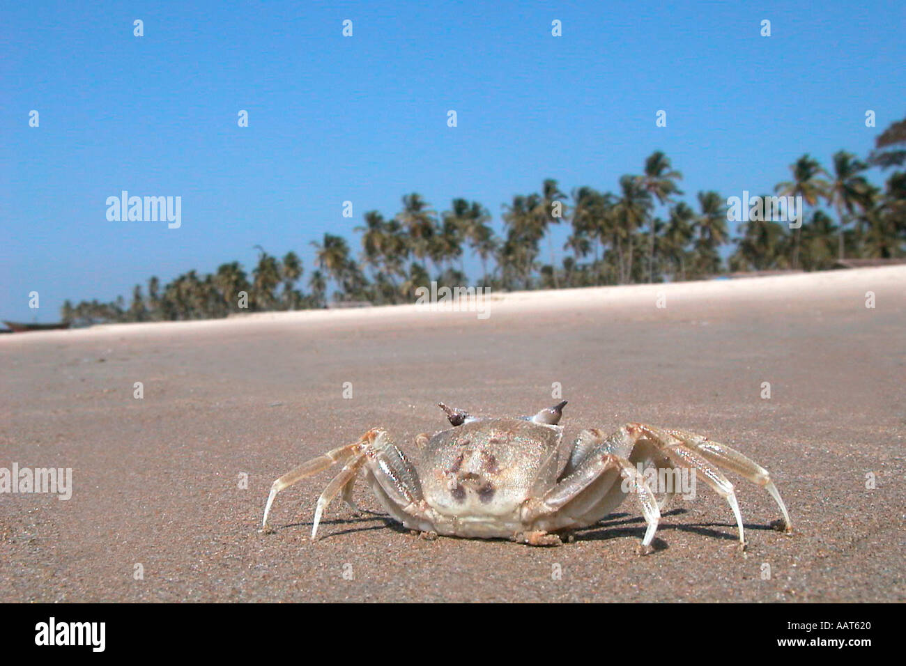 SUN SEA SAND Stock Photo - Alamy
