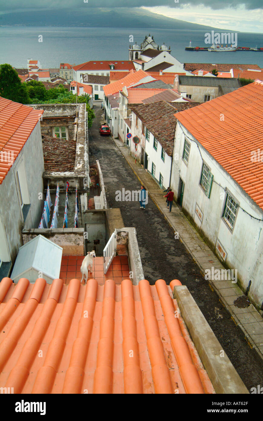 Spanish tiled roofs in the town of Horta on the island of Faial, Azores ...