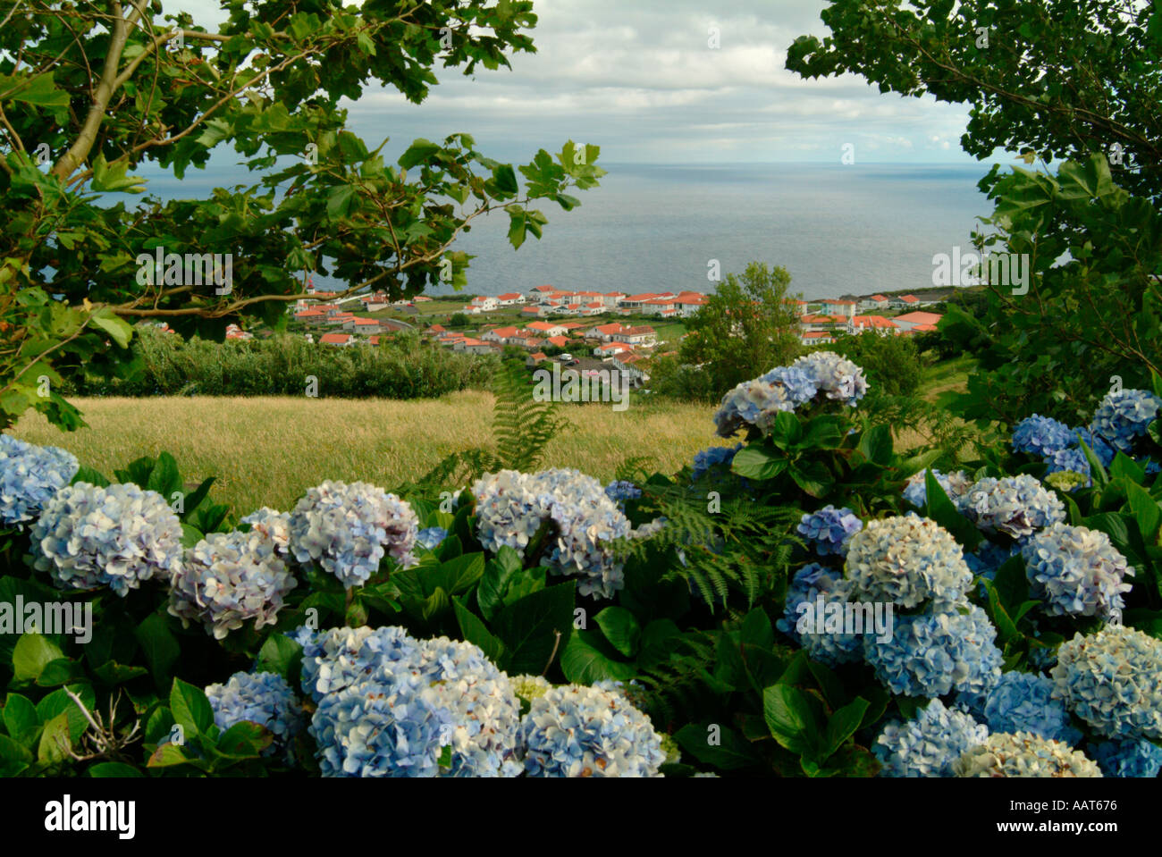 Lajes field hi-res stock photography and images - Alamy