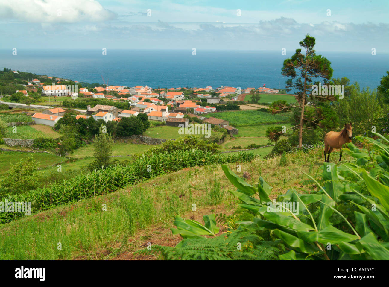 Azores coast lajes hi-res stock photography and images - Alamy