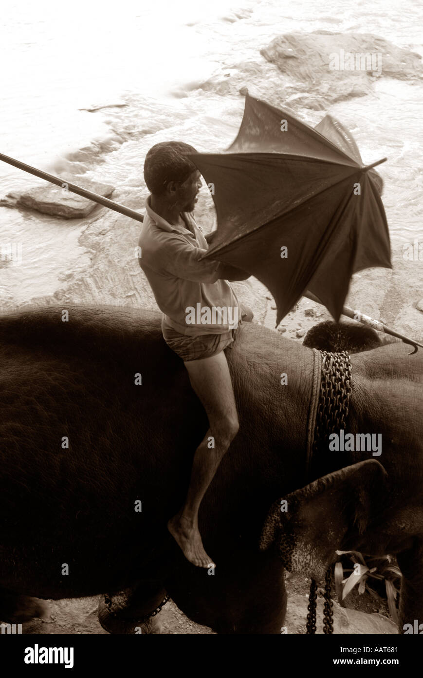 Mahoot and his elephant in Sri Lanka Stock Photo - Alamy