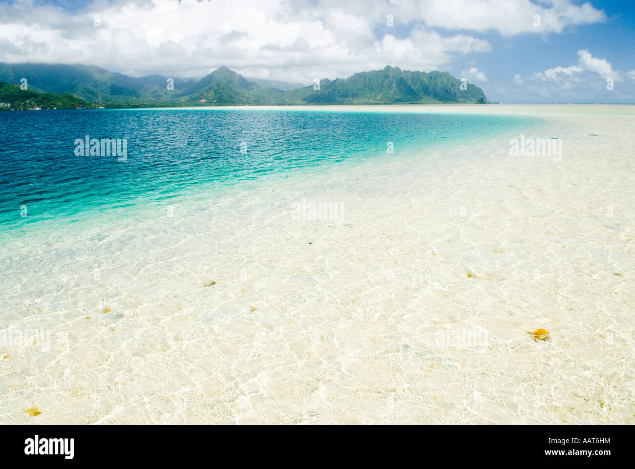 Kaneohe Bay Sandbar Ahu O Laka Oahu Hawaii Stock Photo - Alamy